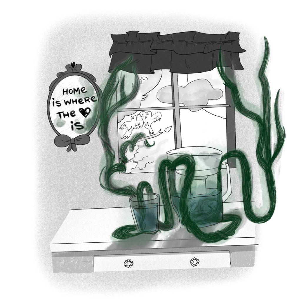 The Life Cycle Of Your New Brita Filter And You – Weekly Humorist