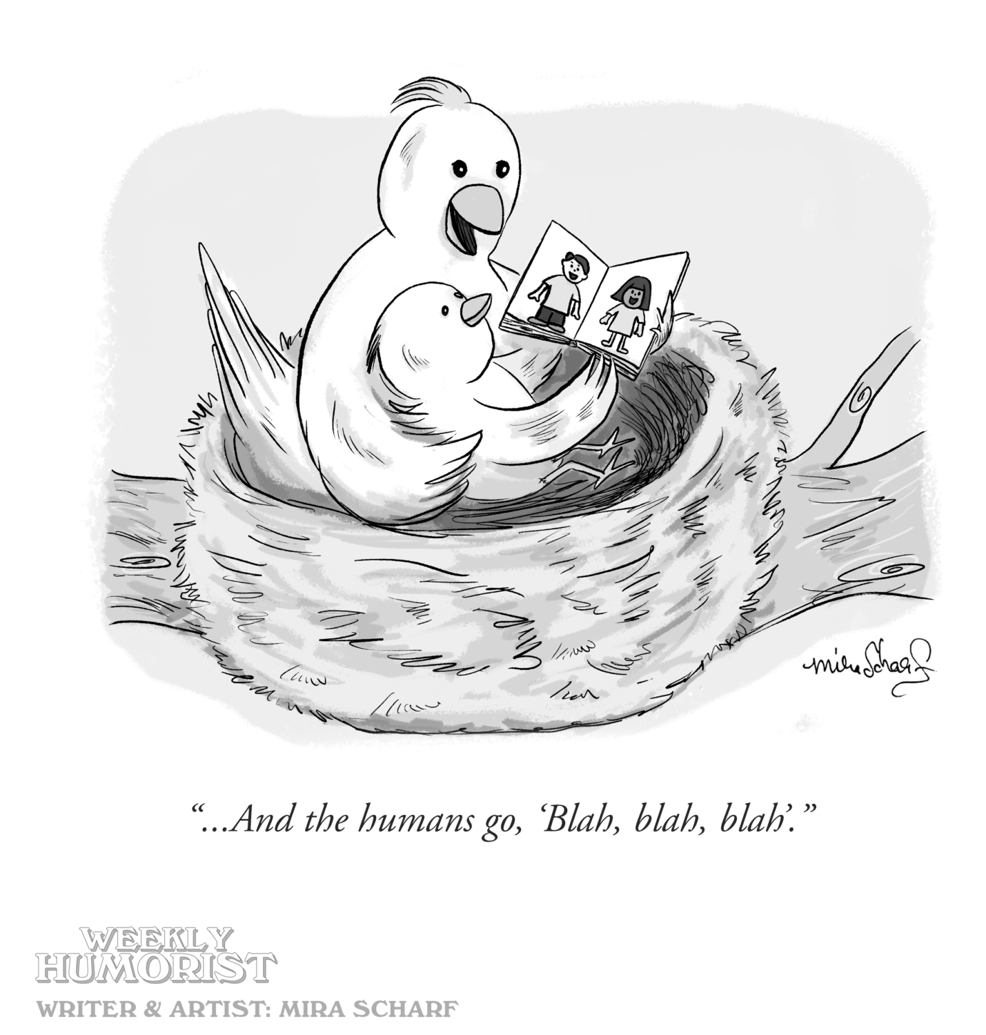 CARTOON: Bird Words – Weekly Humorist