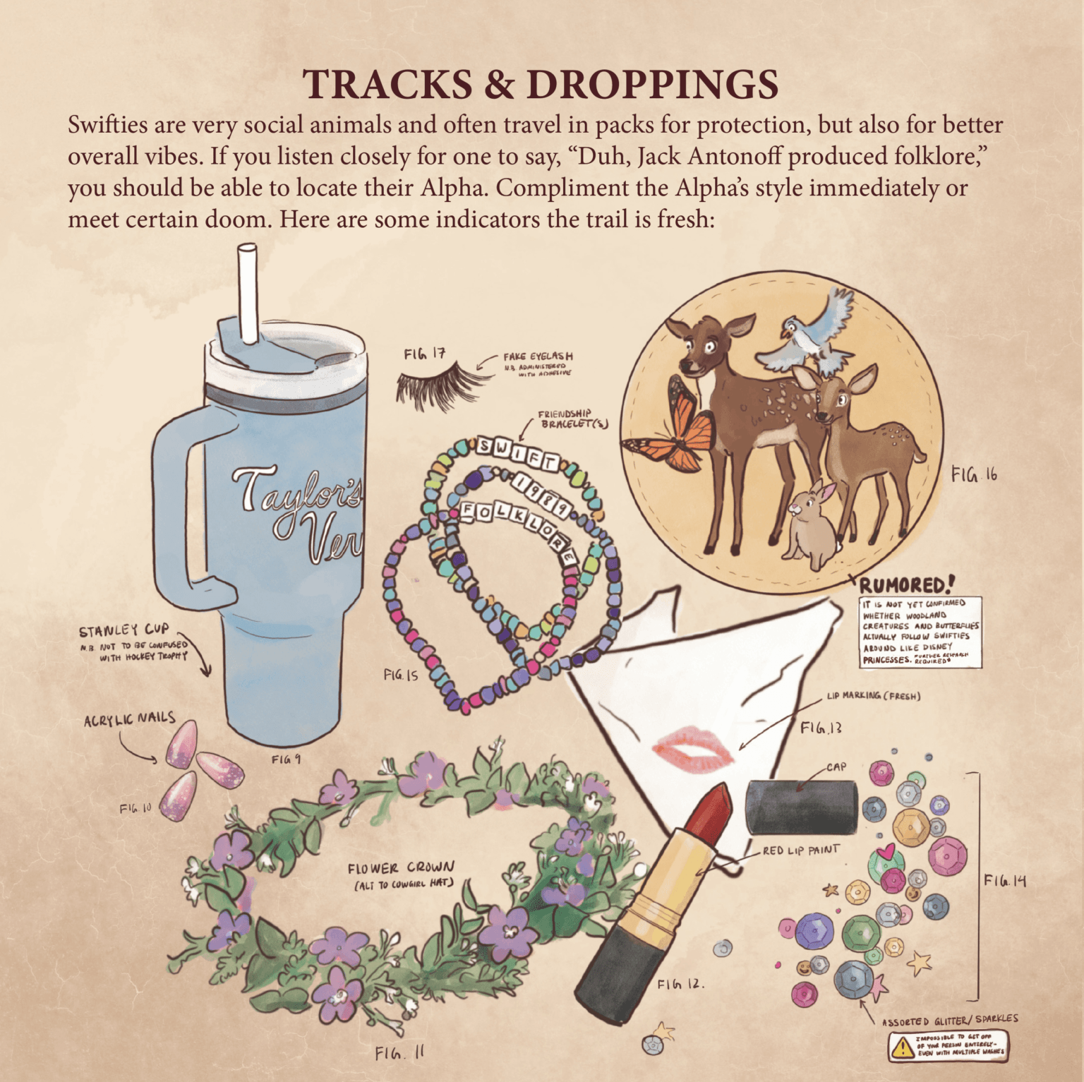 A Swiftie Guide For NFL Fans & A Super Bowl Fan Guide For Swifties ...